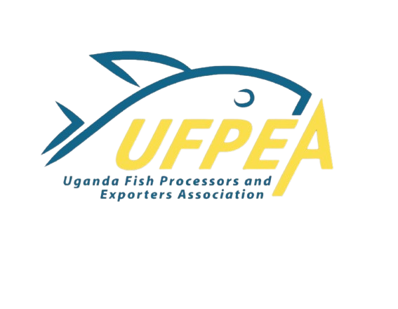 Ufpe Logo